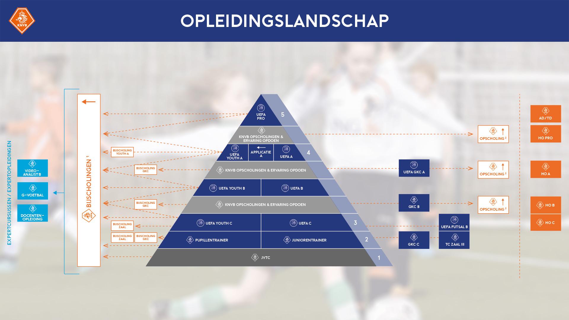 Opleidingen & op- en bijscholingen | KNVB