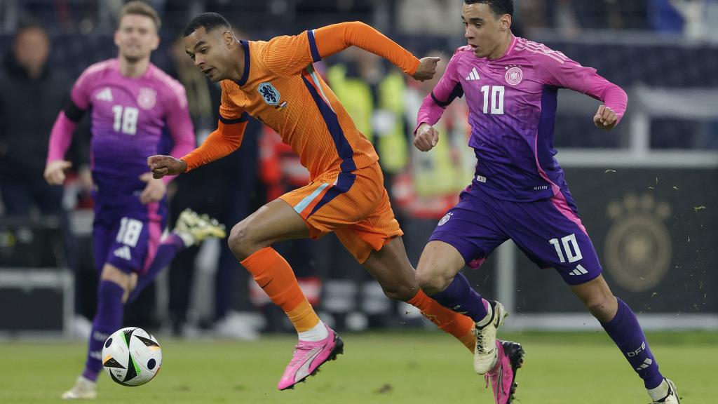 Programma nationale teams (m) seizoen 2024/'25 | OnsOranje